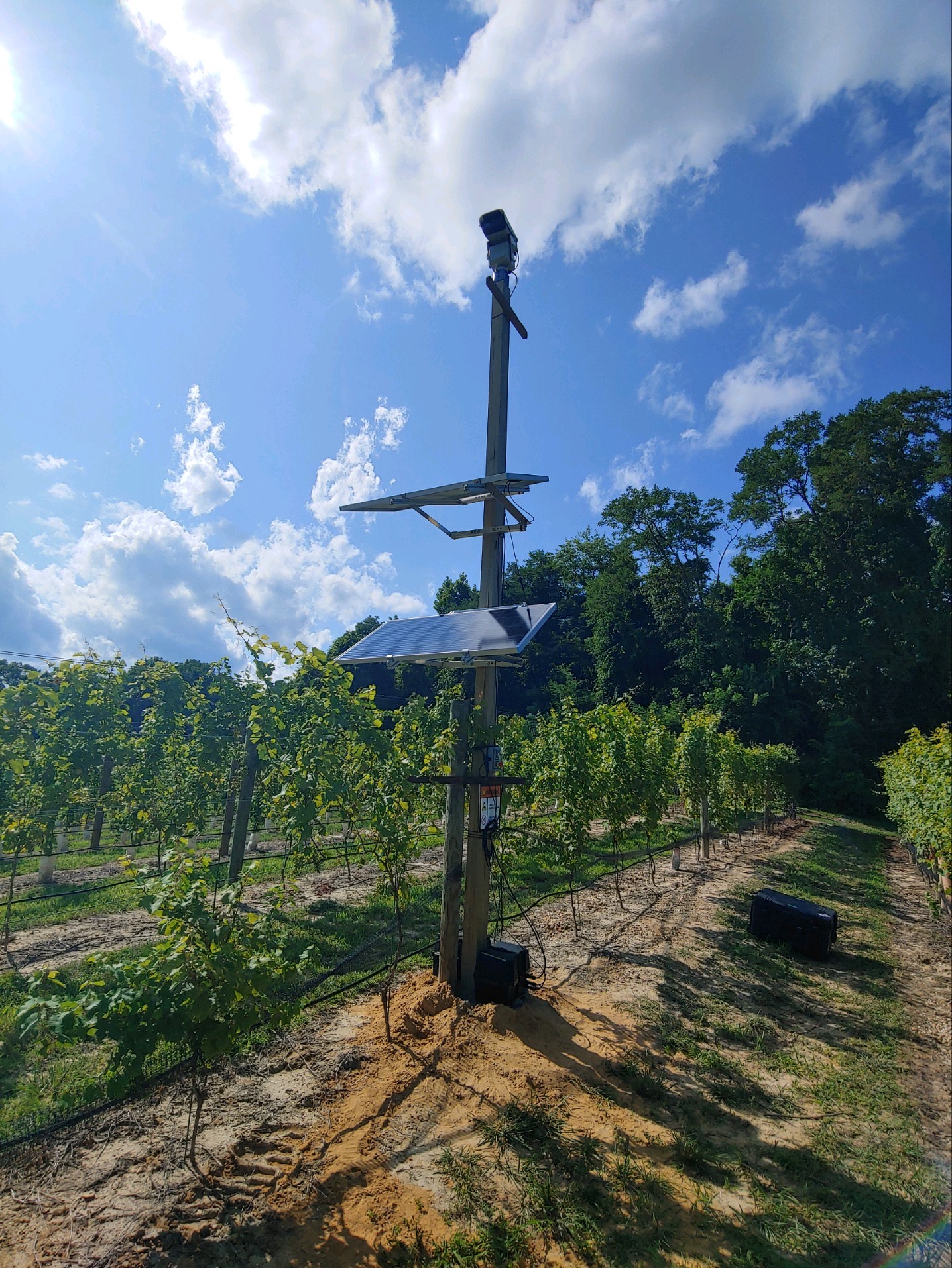 Laser Bird Deterrent Installation