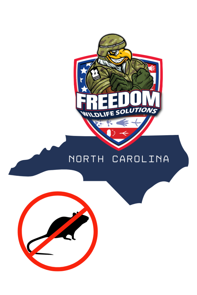 Rodent Control Services | Pest Control Raleigh, NC | Freedom Wildlife ...