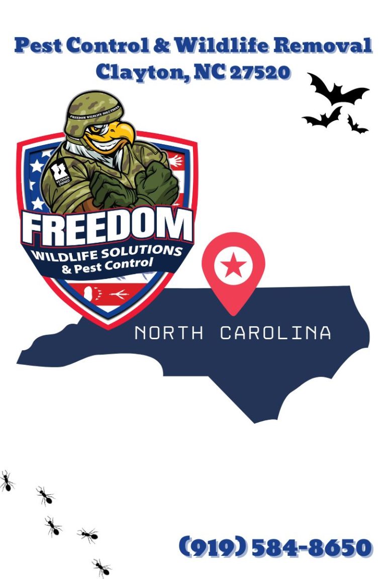Pest Control Services NC | Freedom Wildlife Solutions