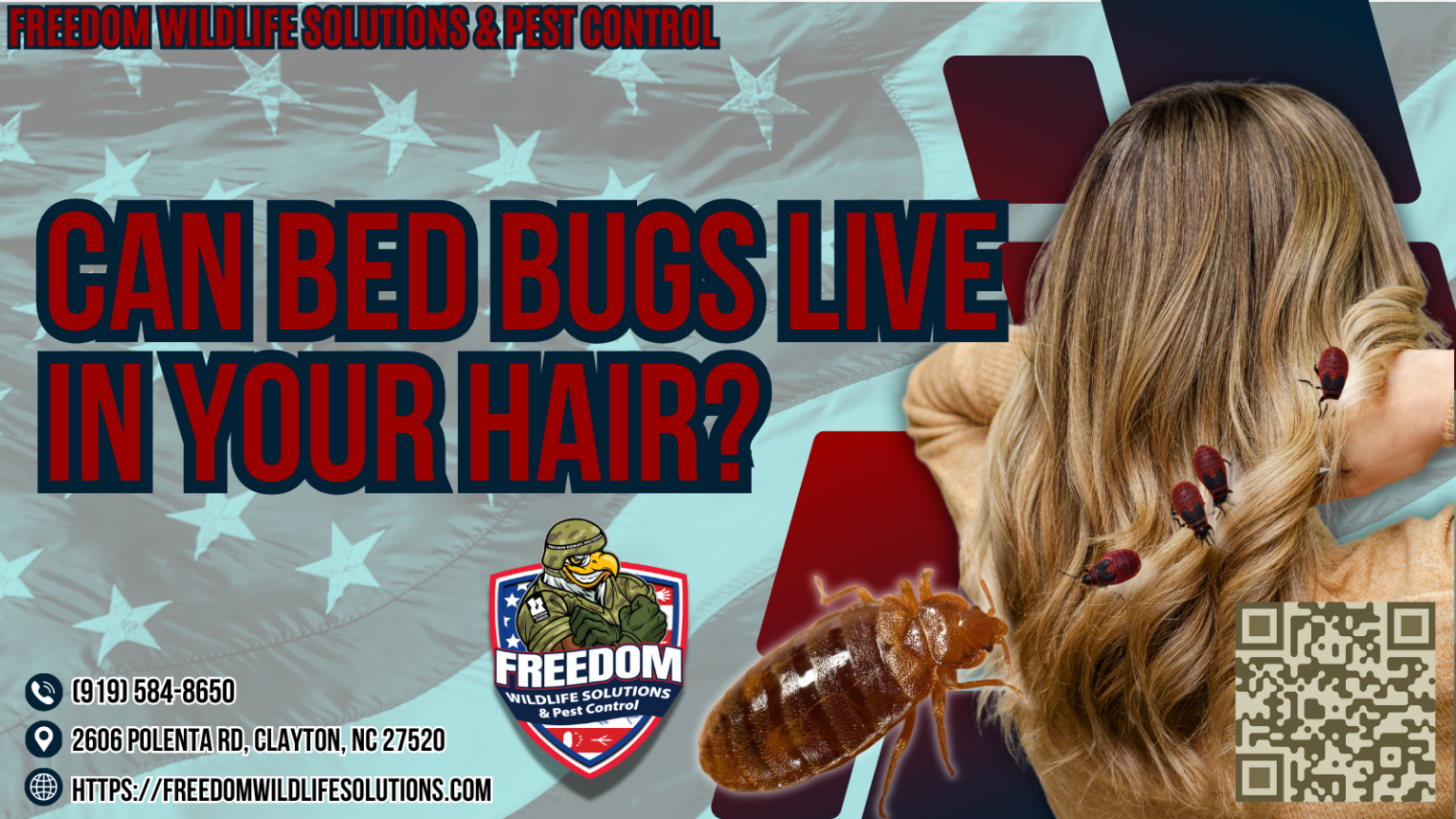 Can Bed Bugs Live in Your Hair? - Freedom Wildlife Solutions & Pest Control