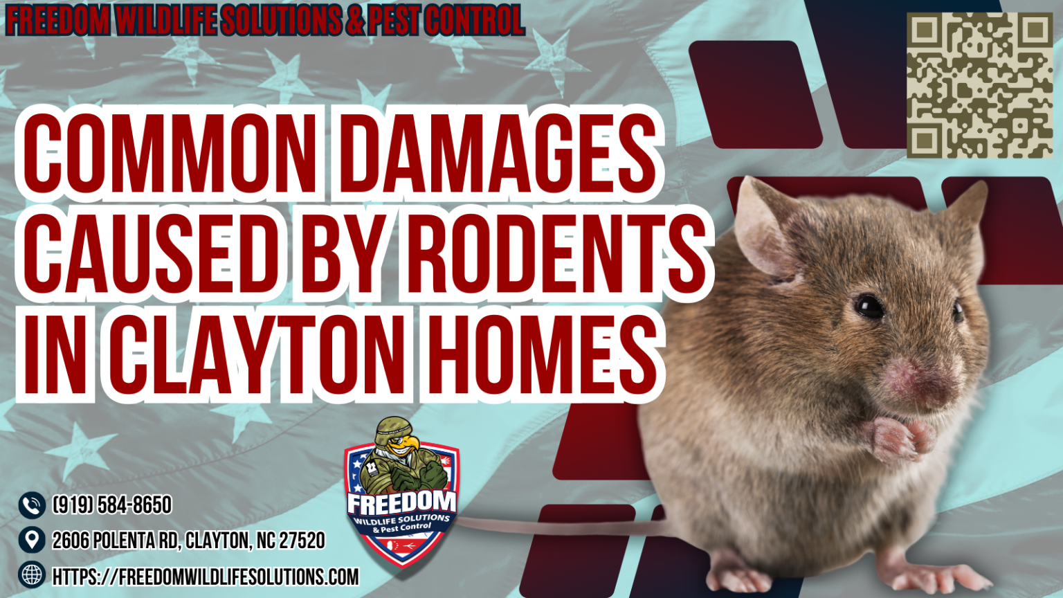 Common Damages Caused by Rodents in Homes - Freedom Wildlife Solutions ...