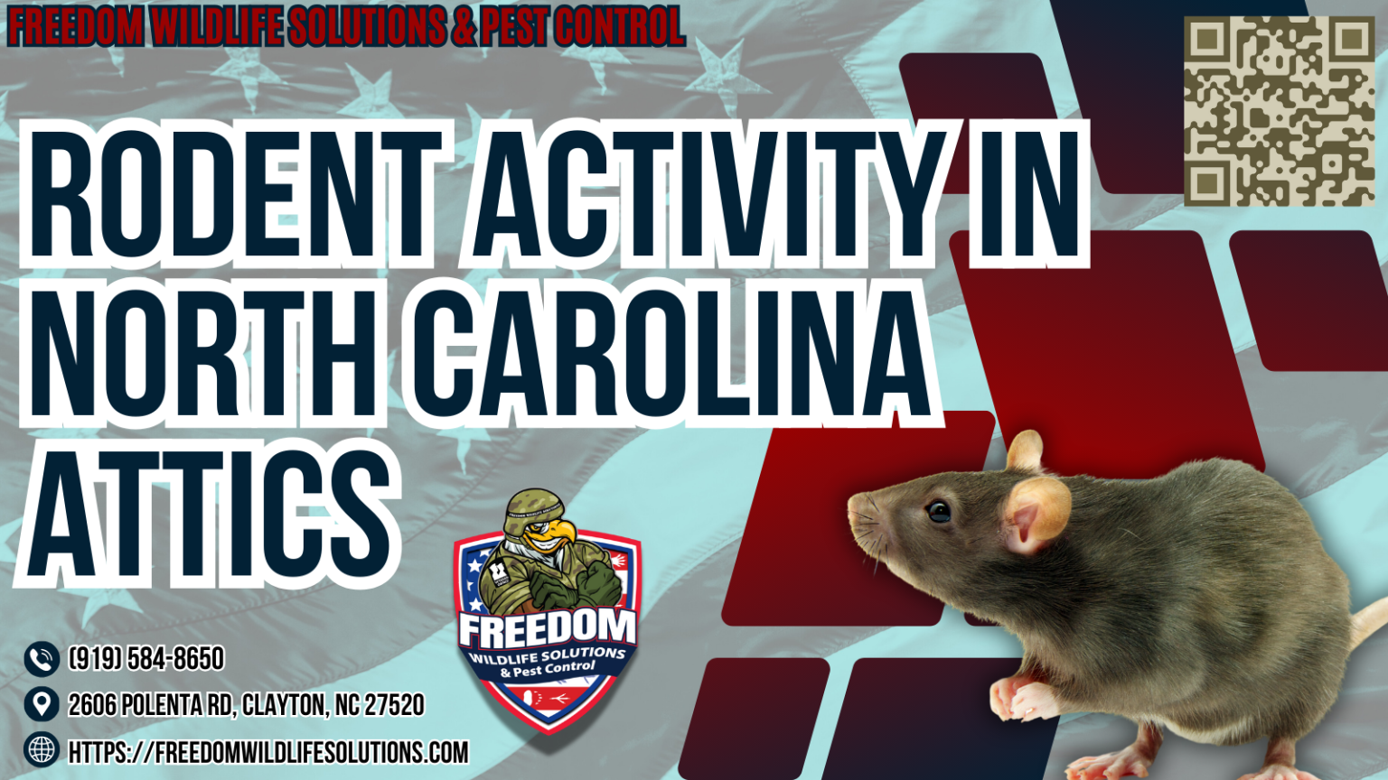 Rodent Activity in Attics - Freedom Wildlife Solutions & Pest Control