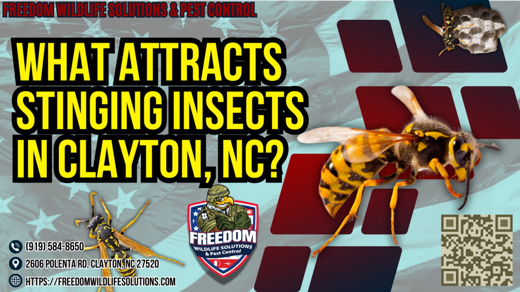 What Attracts Stinging Insects? - Freedom Wildlife Solutions & Pest Control