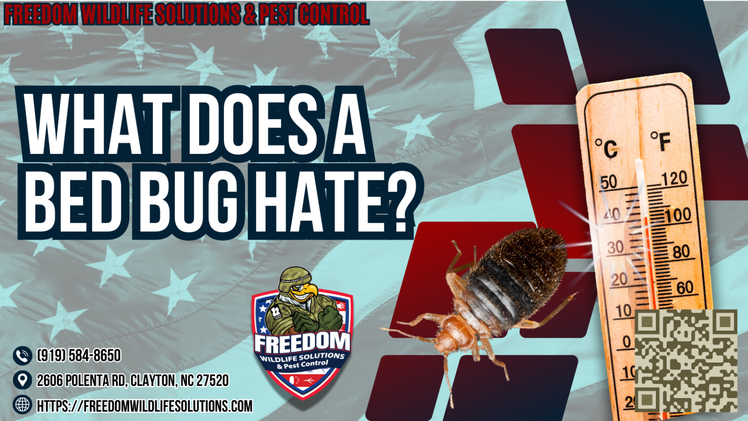 What Does a Bed Bug Hate? - Freedom Wildlife Solutions & Pest Control